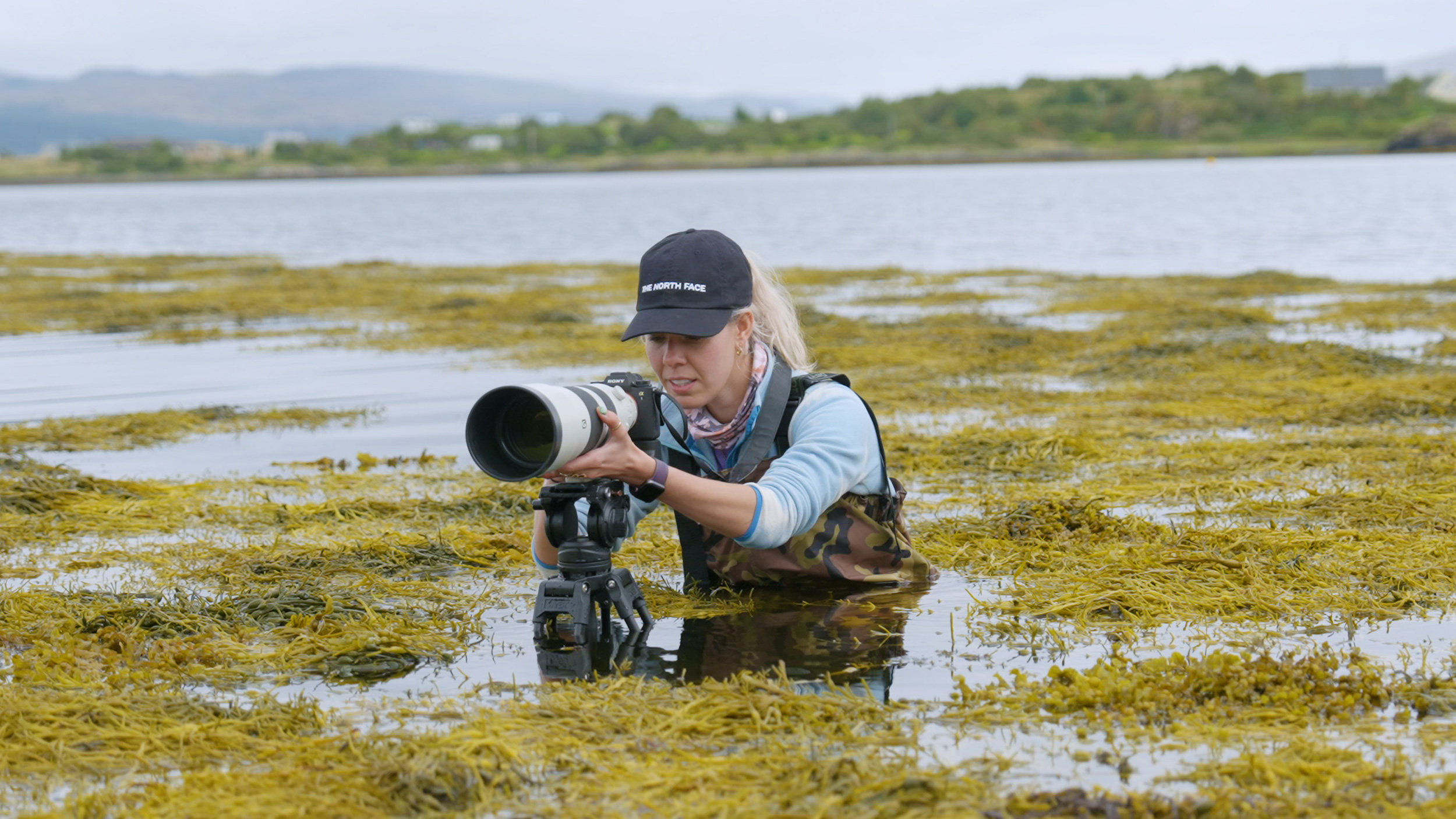 Moments on Mull