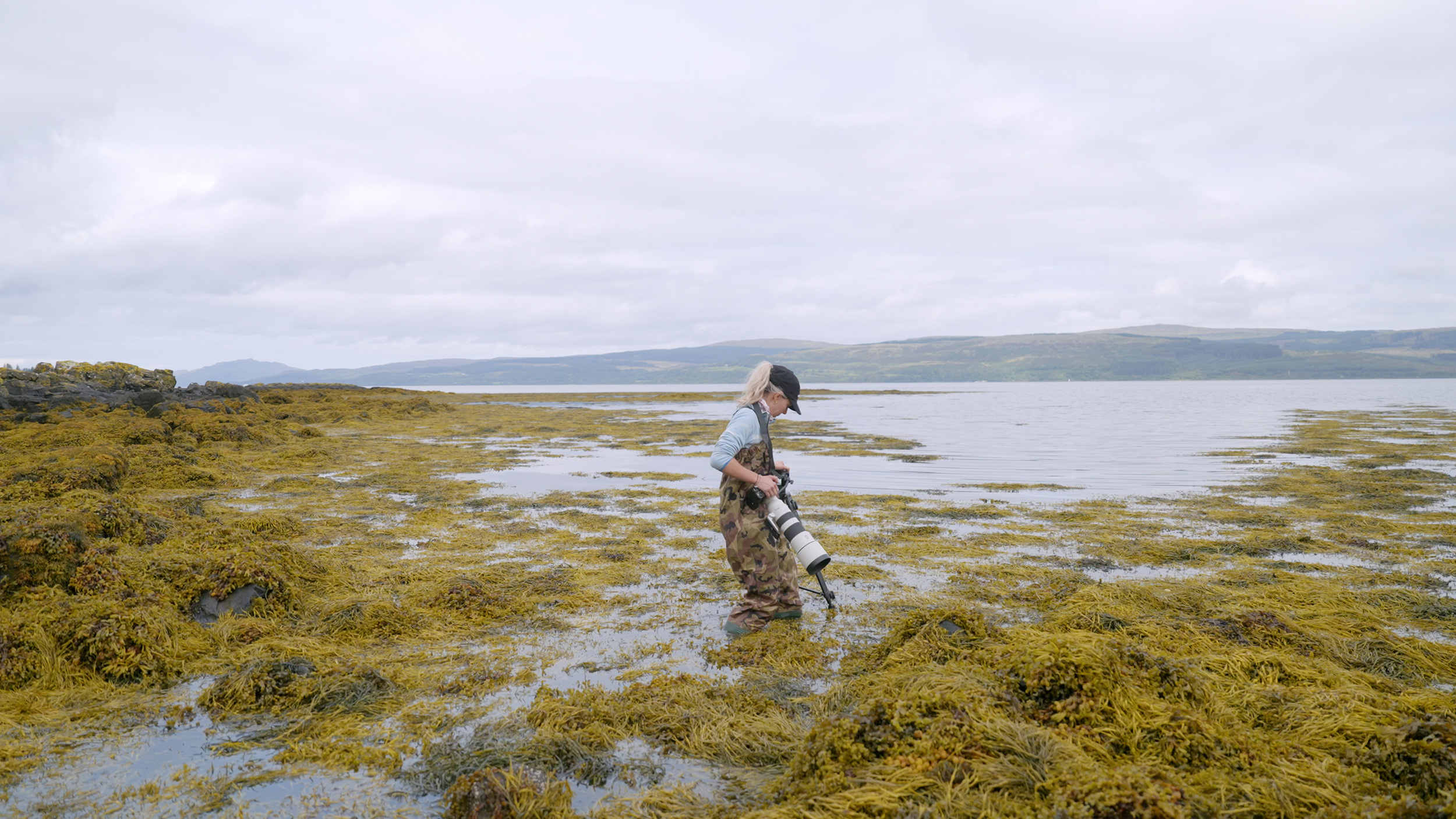 Moments on Mull