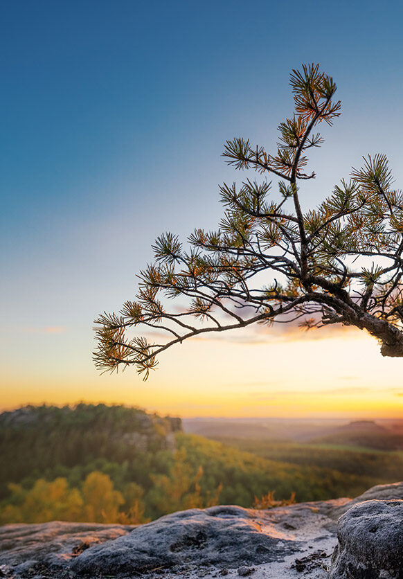 Sony Alpha Universe | Read the latest Alpha Academy articles