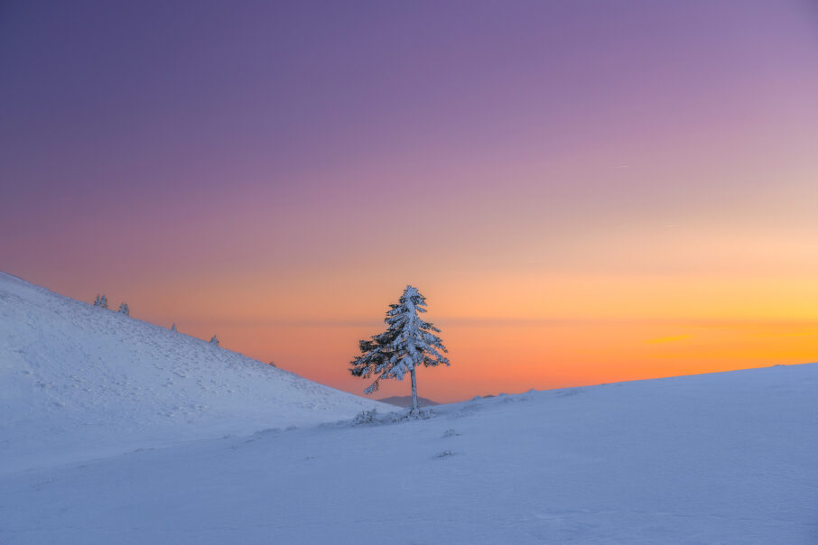 Winter 2025 Competition Winner