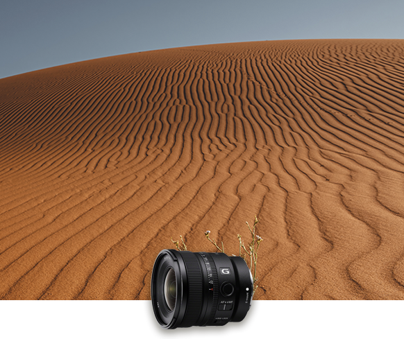 Sony Landscape Lenses