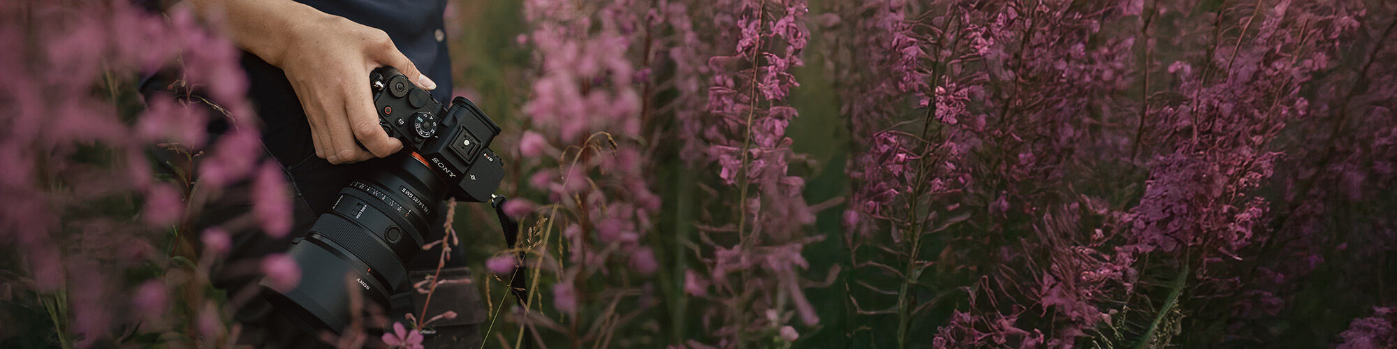 Nature Photography with your Sony Alpha
